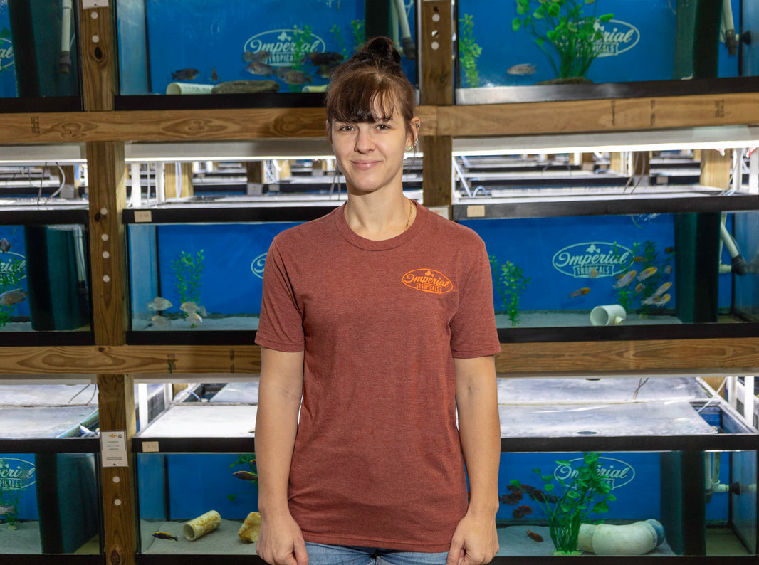 Merch – Imperial Tropicals